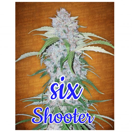 420 fastbuds autoflowers - Heavily Connected Seeds