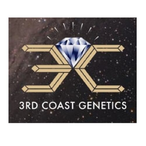 3rd Coast Genetics Archives - Heavily Connected Seeds